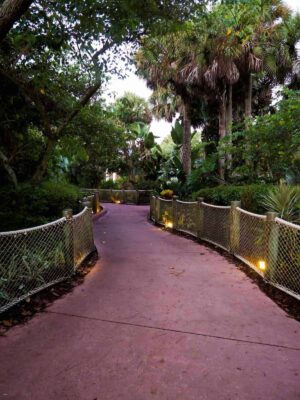 Disney World Walking Paths and Running Trails – Polka Dots & Pixie Dust
